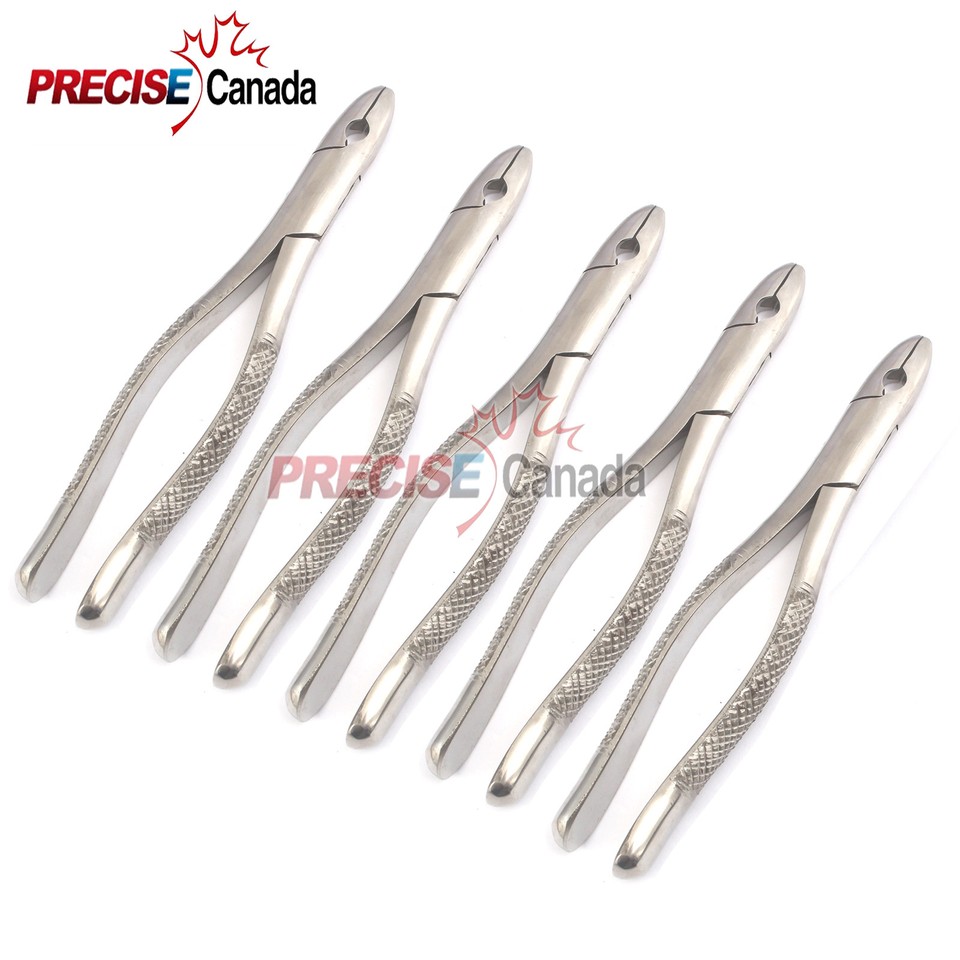 Set Of 5 Surgical Dental Extracting Forceps NO.99C St/Steel | eBay