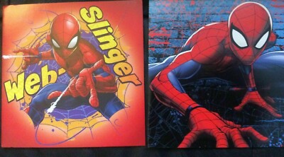SPIDER-MAN 10 BIRTHDAY CARD incls ENVELOPE - SPIDER-MAN / MARVEL ...