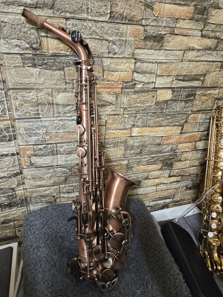 Saxophone Slade Alto Engraved Special Design with Case and Neckstrap ...