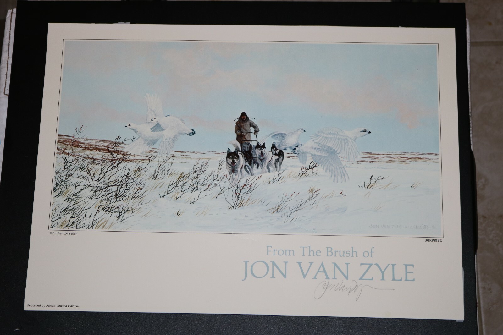 Jon Van Zyle " Alaska 1983 " #803/819 ALASKA ARTIST Dog/Birds | eBay