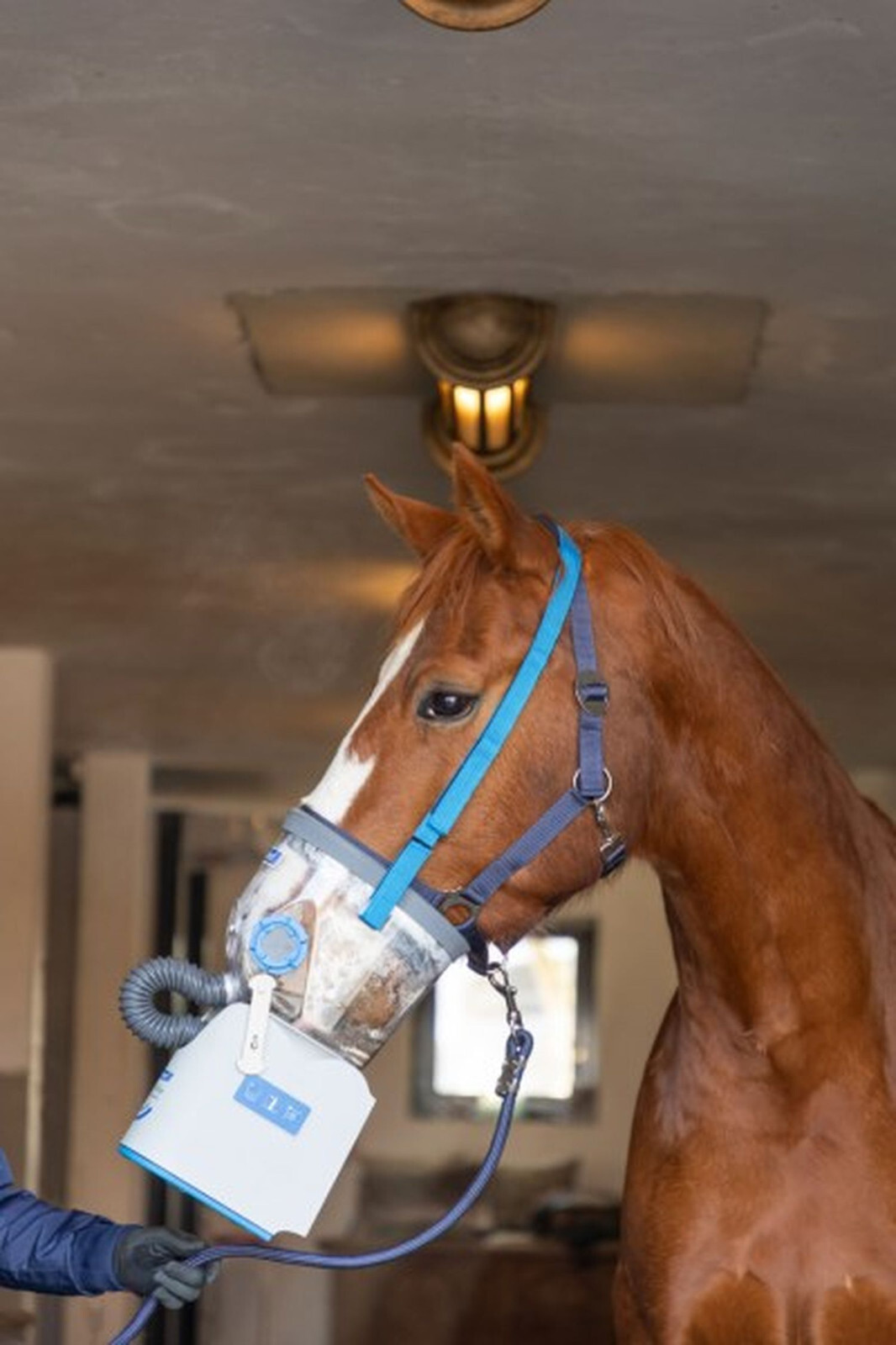 Akku Ultraschall Inhalator für Pferde AirOne Flex Inhalationsgerät ...