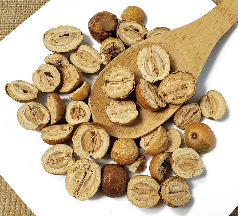 川楝子 / 金铃子 Chuan Lian Zi / Dried Fructus Toosendan | eBay