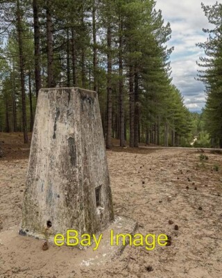 Photo 6x4 Trig Point in Culbin Forest Cloddymoss On Hill 99, the ...