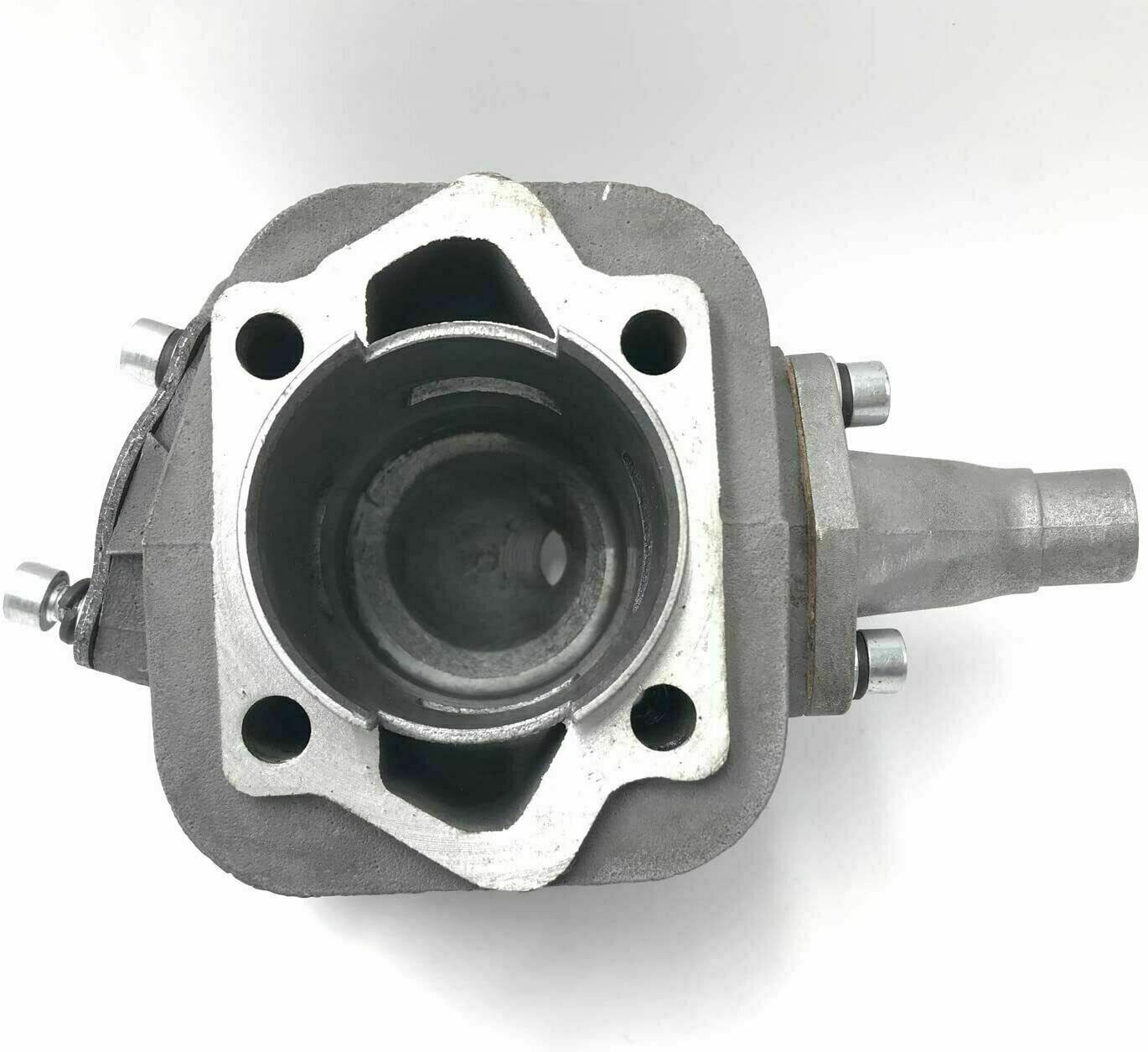 CDH YD100 Engine Motor 50mm & Dio Reed Valve Kit - 2 stroke Gas ...