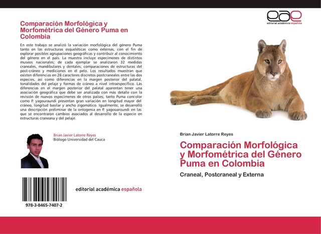 Comparación Morfológica Y Morfométrica del Género Puma En Colombia von ...
