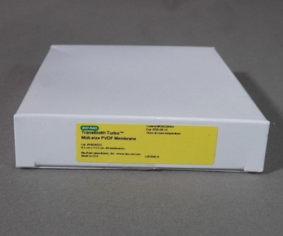 Bio Rad Trans-Blot Turbo Midi-size Transfer Stacks and PVDF Membrane 40 ...