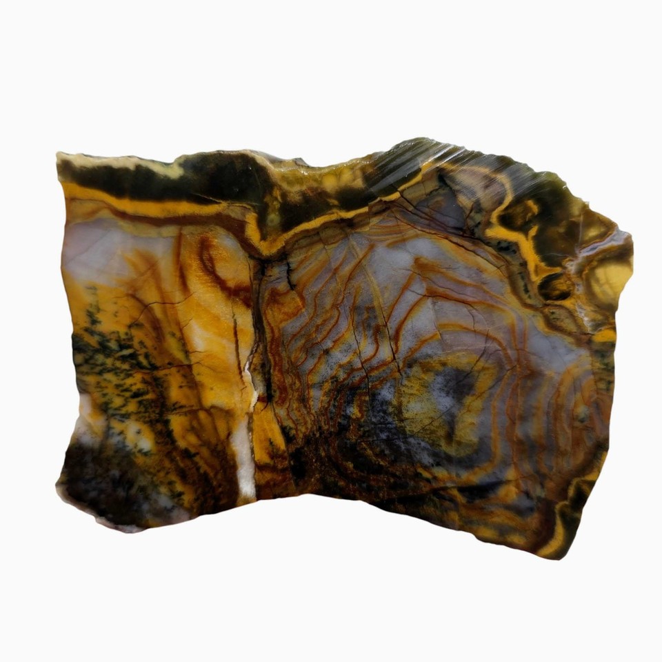 Unique Old Stock Biggs Picture Jasper Slab Lapidary Stone Slice Cut ...