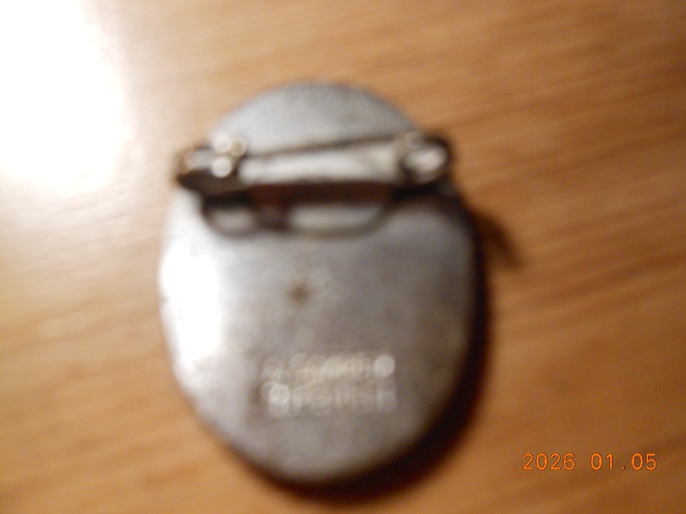 NAZI BADGE | eBay UK