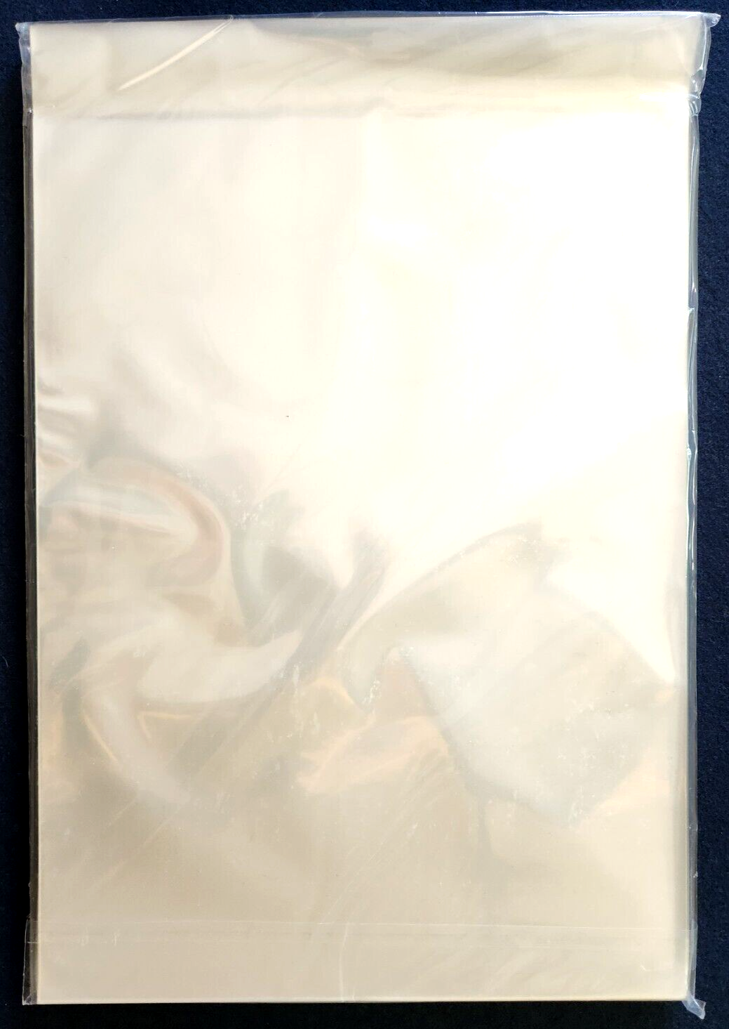 25 CSP Life Magazine Size Poly Bags - 11 1/8 x 15 1/8 - Acid Free ...