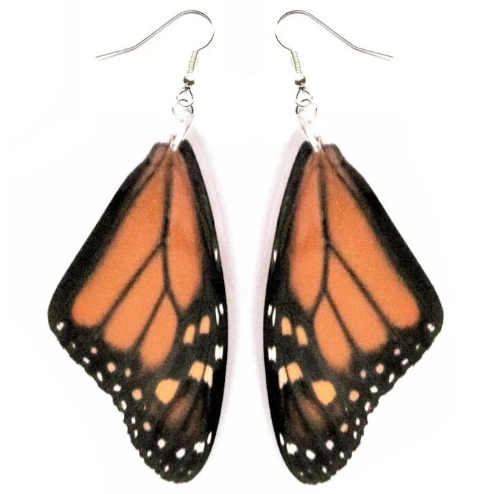 Real Monarch Butterfly Wings