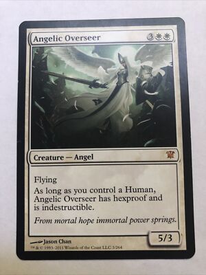 Angelic Overseer