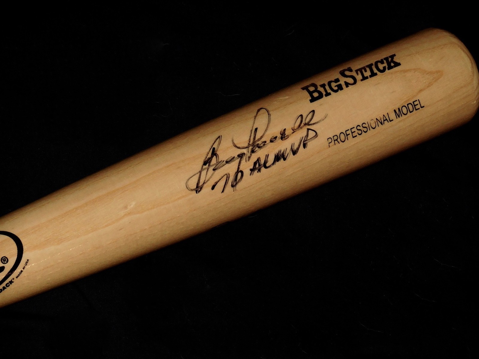 BOOG POWELL & PAUL BLAIR AUTOGRAPHED BAT (ORIOLES) W/ PROOF! + SHOW ...