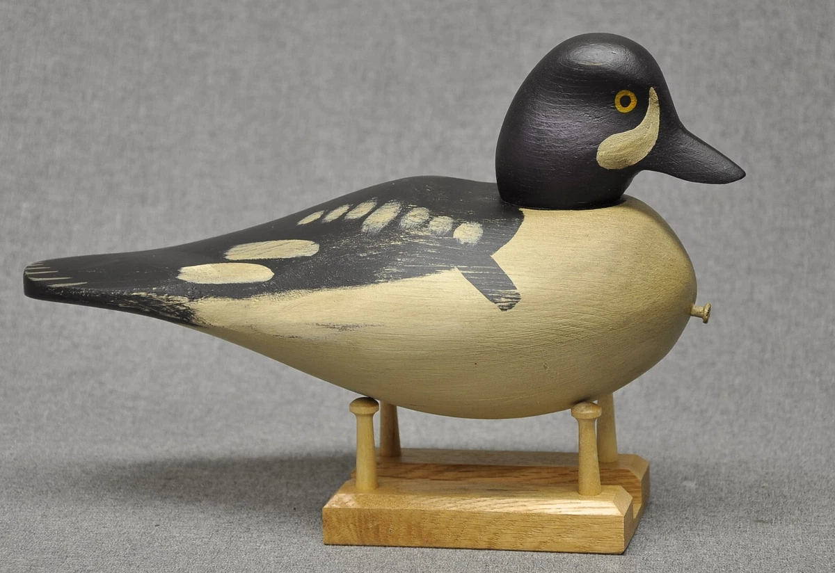 Goldeneye Duck Mounts