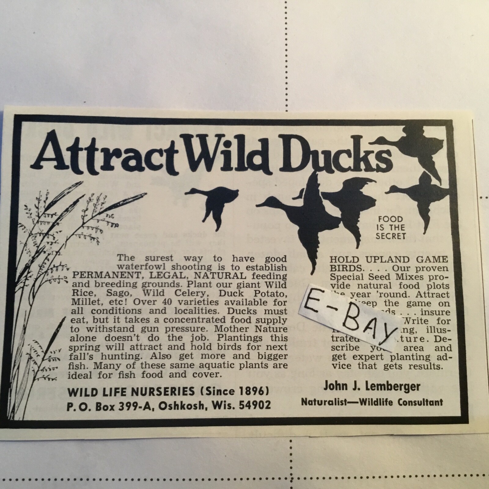 Rare 1965 Ad. WildLife Nurseries Oshkosh, Wi. John J Lemberger | eBay