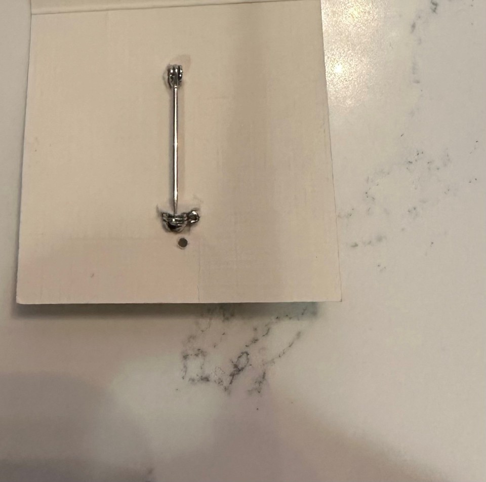 Vintage Geoff and Sandy Olson Alaska Scrimshaw brooch | eBay