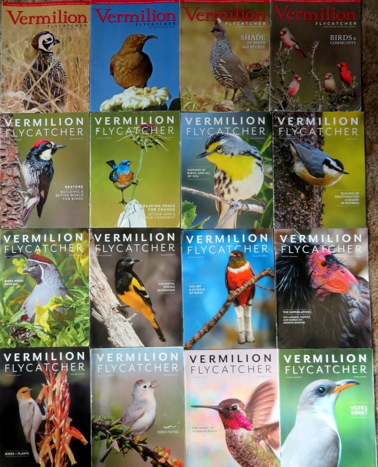 VERMILLION FLY CATCHER Magazine - Tucson Audubon - 2009-2022 - 53 ...