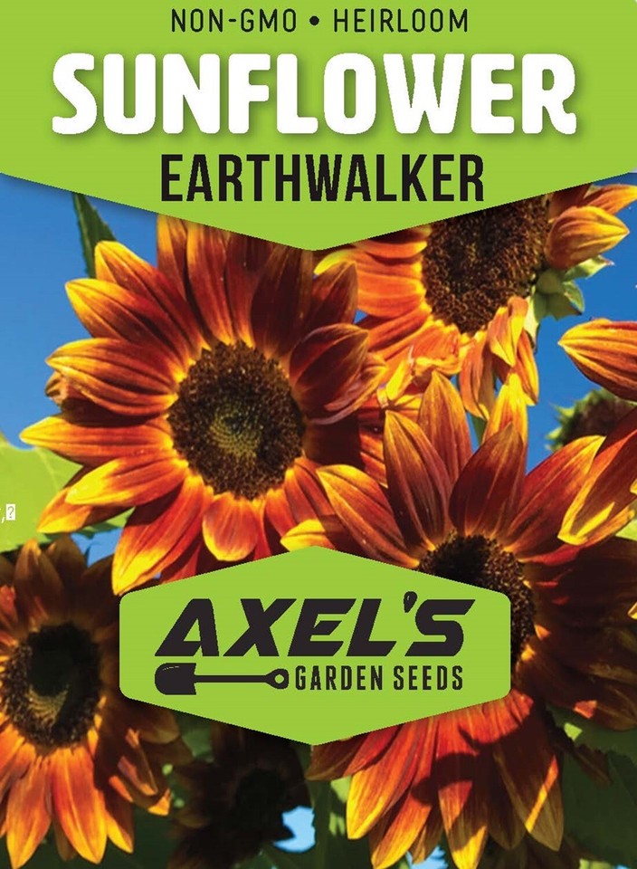 Earthwalker Sunflower Seeds - Heirloom Non GMO Open-Pollinator Flower ...