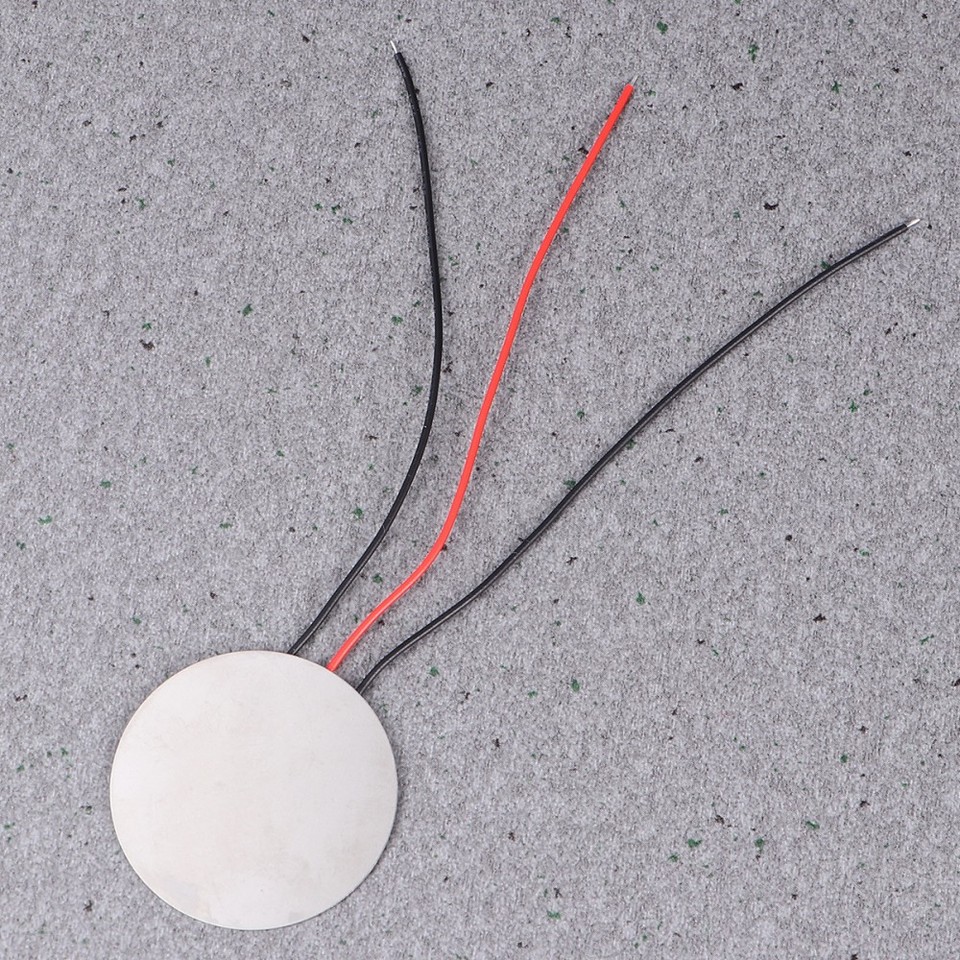 20 PCS Steel Buzzer, Piezo Disc, Piece Piezoelectric Ceramic Chip | eBay