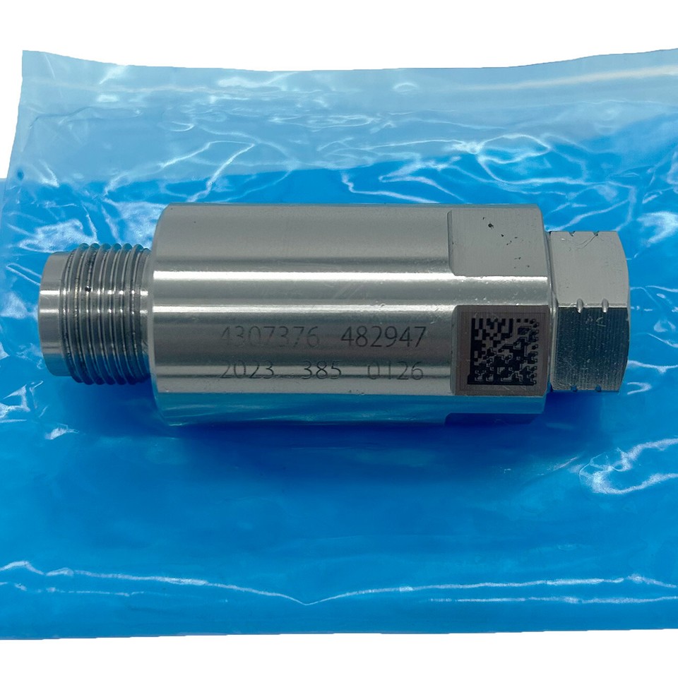 NEW Pressure Relief Valve Fit for Cummins 4307376 4383889 | eBay