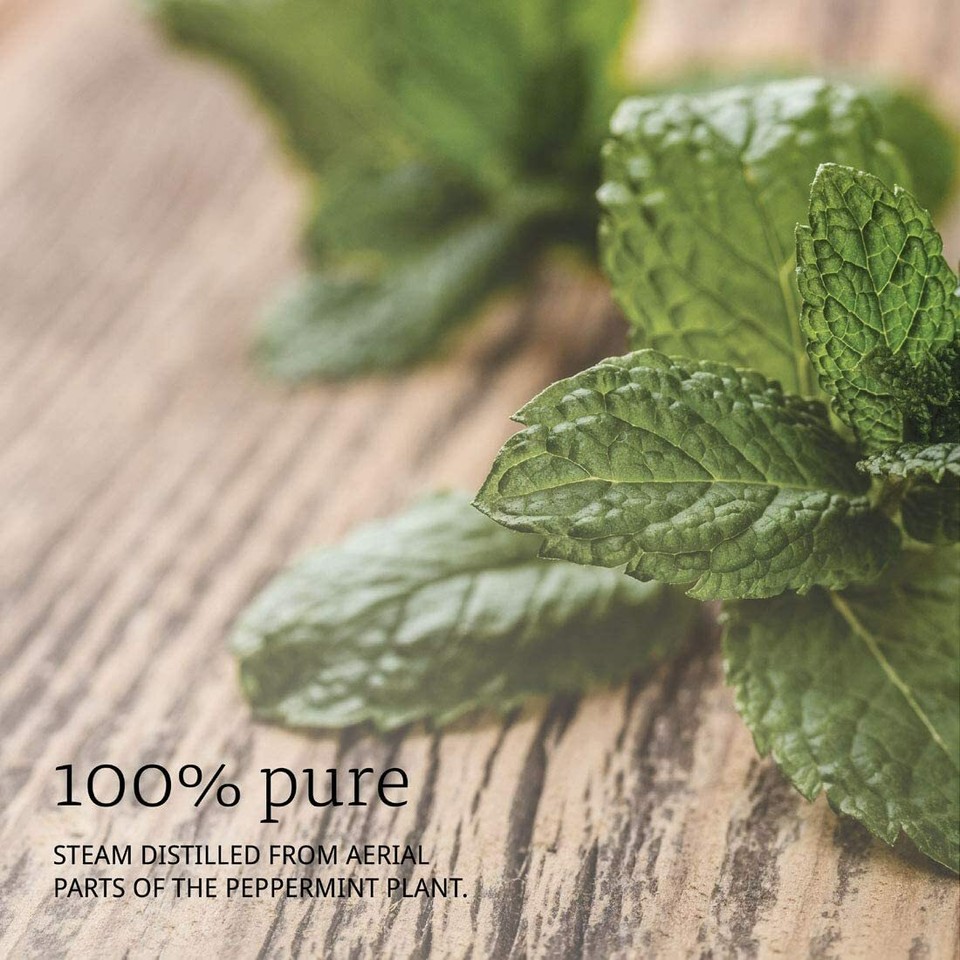 Peppermint Oil (100% Pure), 4 oz - NOW Foods Essential Oils ...