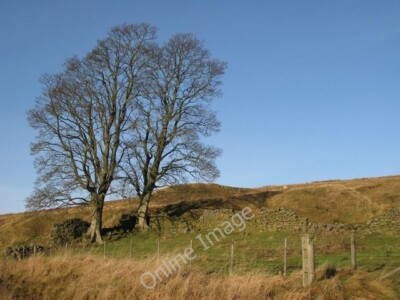 Photo 6x4 Small enclosure above the Rookhope Burn Lintzgarth c2009 ...