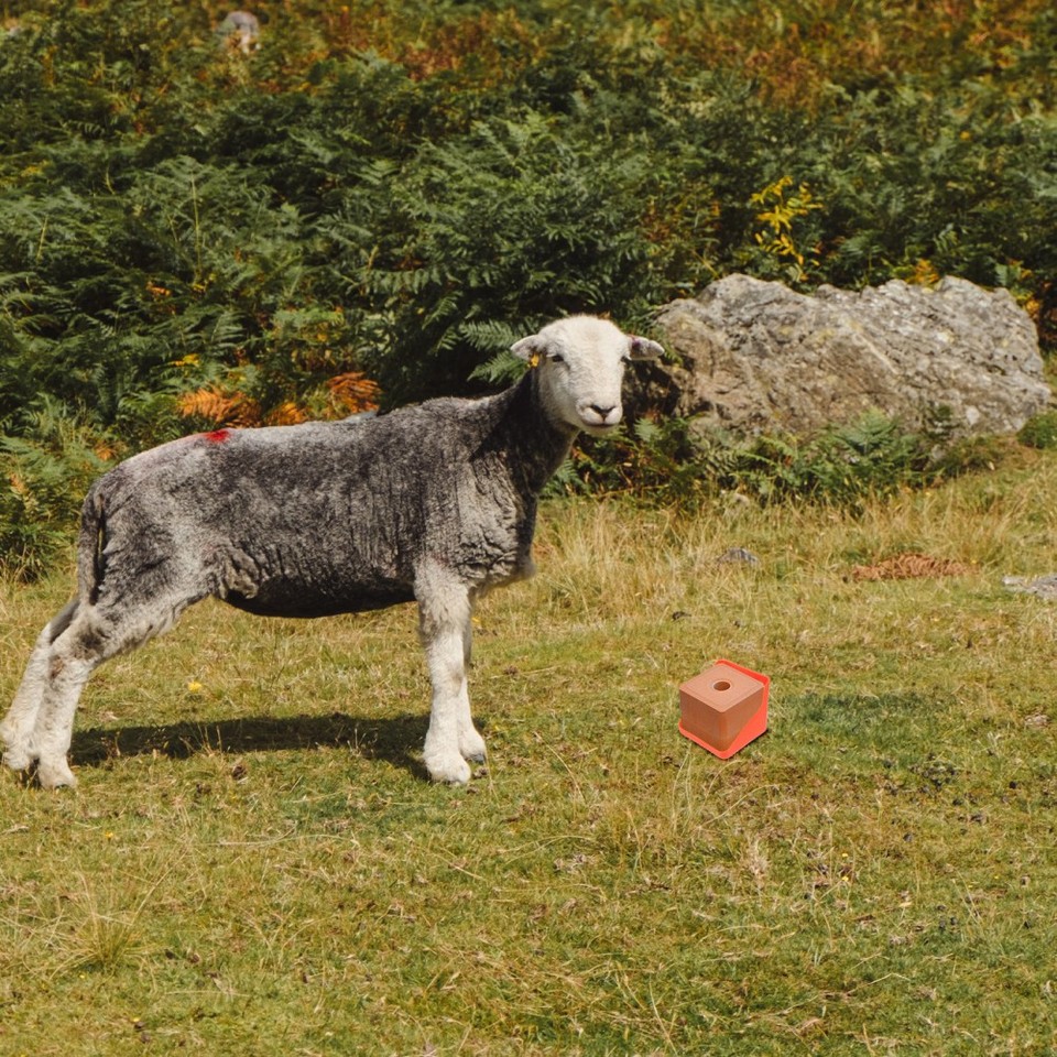 Cattle Salt Block Holder for Goats Animal Mineral Feeder Livestock ...