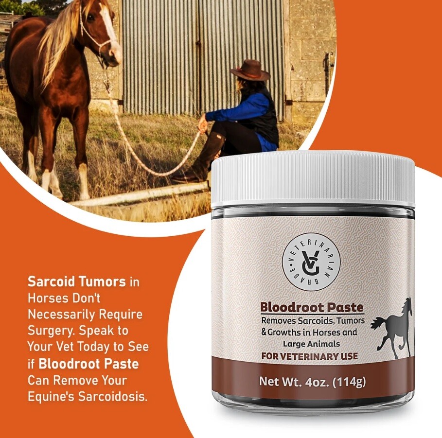 Bloodroot Paste for Sarcoid Removal in Horses and Equine Farm Animals ...