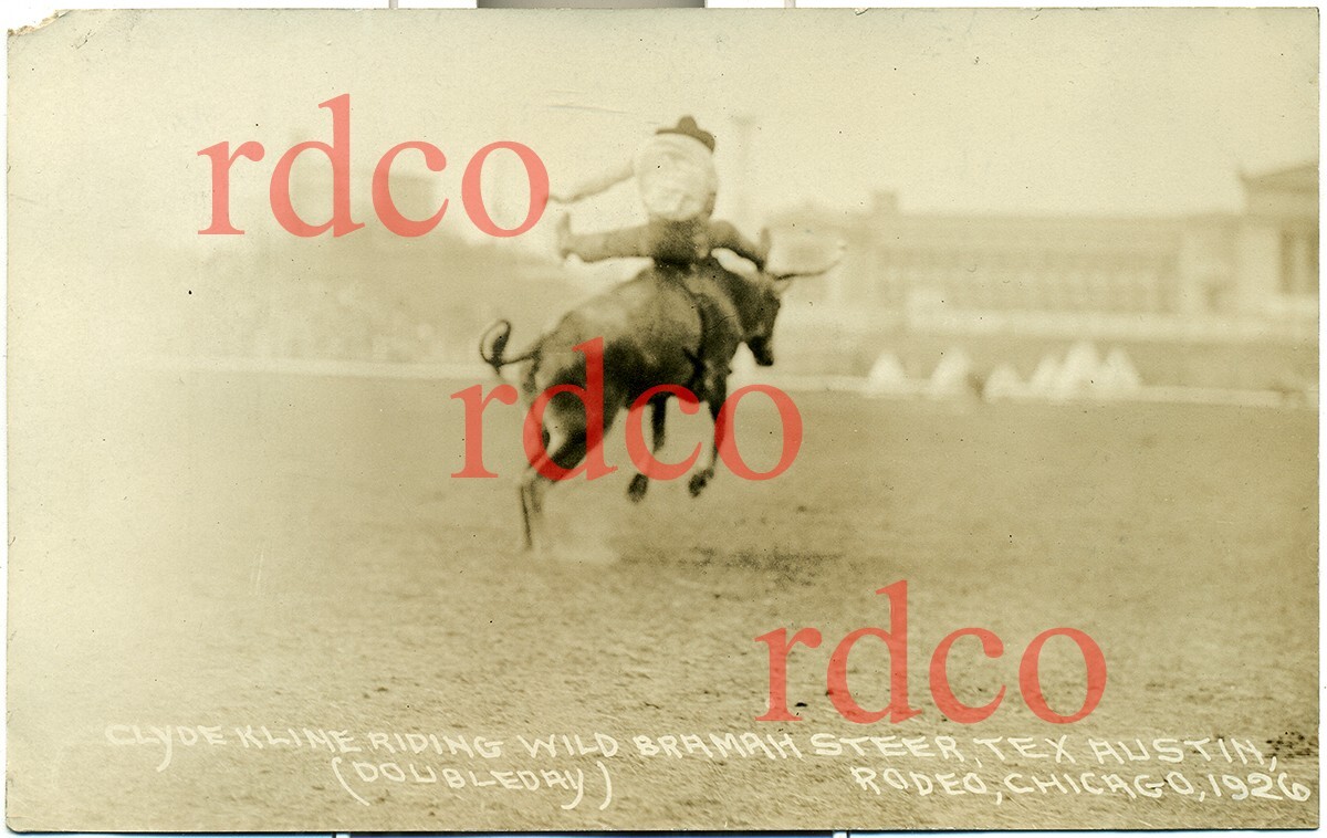 Clyde Kline Riding Wild Bramah Steer, Doubleday Tex Austin Rodeo ...