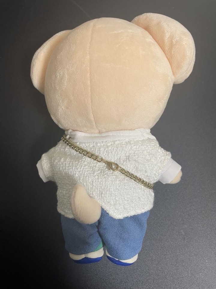 Stray Kids SKZOO Seungmin Puppy Plush Toy with Outfit 9.8in No Tag From ...