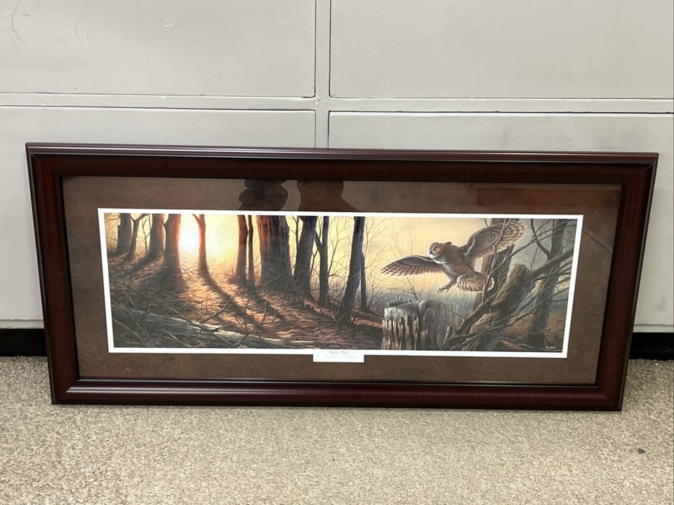 TERRY REDLIN CUSTOM FRAMED / MATTED Silent Flight B12 Owl | eBay