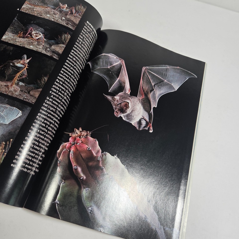 National Geographic Magazine August 1995 Sicily Bats Hiroshima Voodoo ...