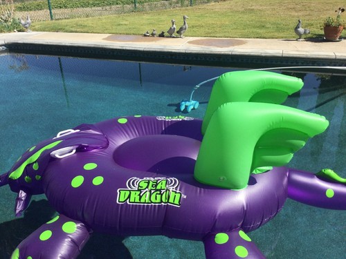 Swimline 90625 Swimming Pool Kids Giant Rideable Sea Dragon Inflatable ...