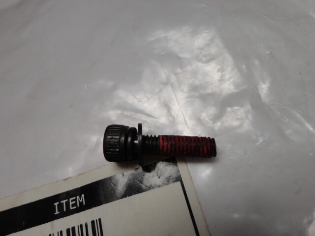 Echo 90016304016 Blower HSH, Bolt for PB-200, PB-260L, PB-261L, PB-265L ...