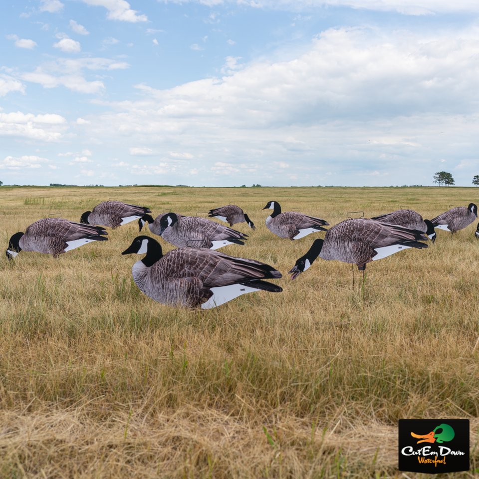 AVERY GREENHEAD GEAR GHG PRO GRADE CANADA GOOSE SILHOUETTE DECOYS ...