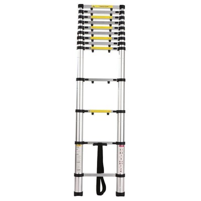 Ladders, Scaffold, Platforms - 16 Ft Ladder