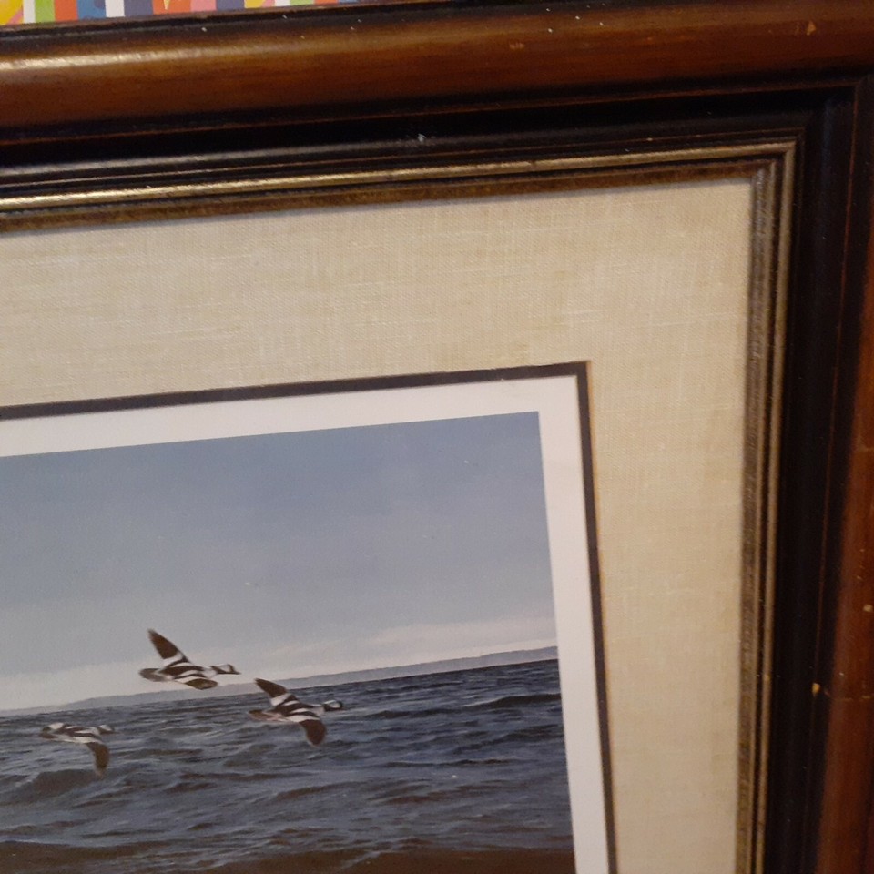 Ron Van Gilder " Restless Buffleheads" S/N LE Print 348/500 $400 Wood ...