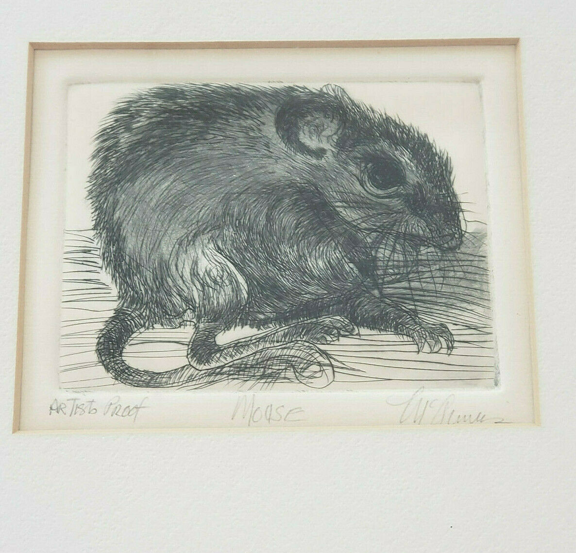 Christine McGinnis Etching Art " Mouse" Artist's Proof Framed Matted ...