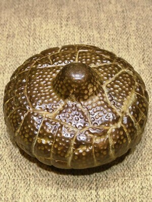 China Natural stone "tortoise back pattern" stone Moire stone 051601 | eBay