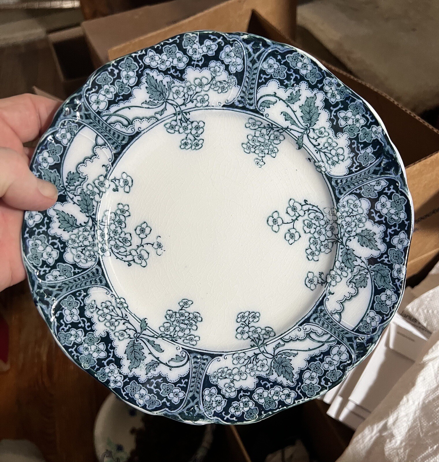 antique 8 1/4" Flow Blue salad plate Till & Sons Cecil pattern 5 ...