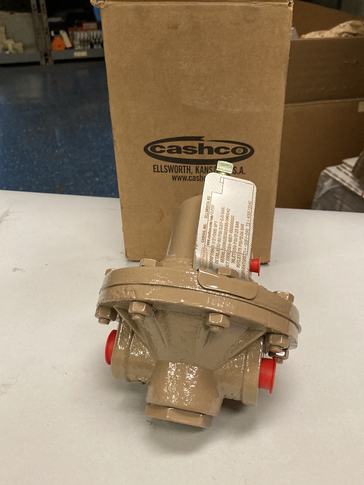 Cashco,2B4-1BB7-13000000C,Pressure Regulator 1/2 Inch DN15 30-80PSI | eBay