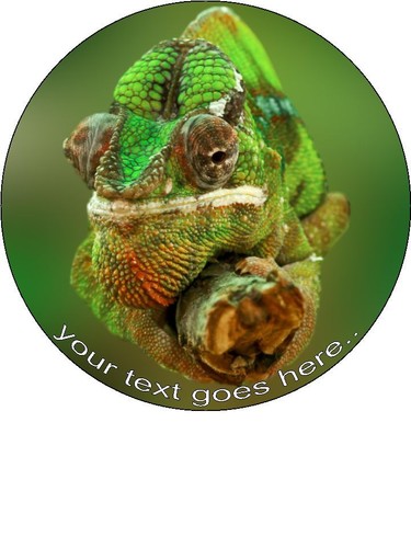 chameleon reptile lizard green Personalised Edible Cake Topper Wafer ...