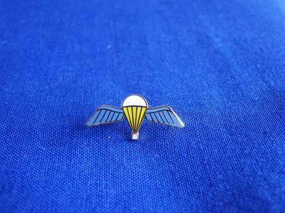PARA'S WINGS ( PARACHUTE WINGS ) LAPEL PIN | eBay