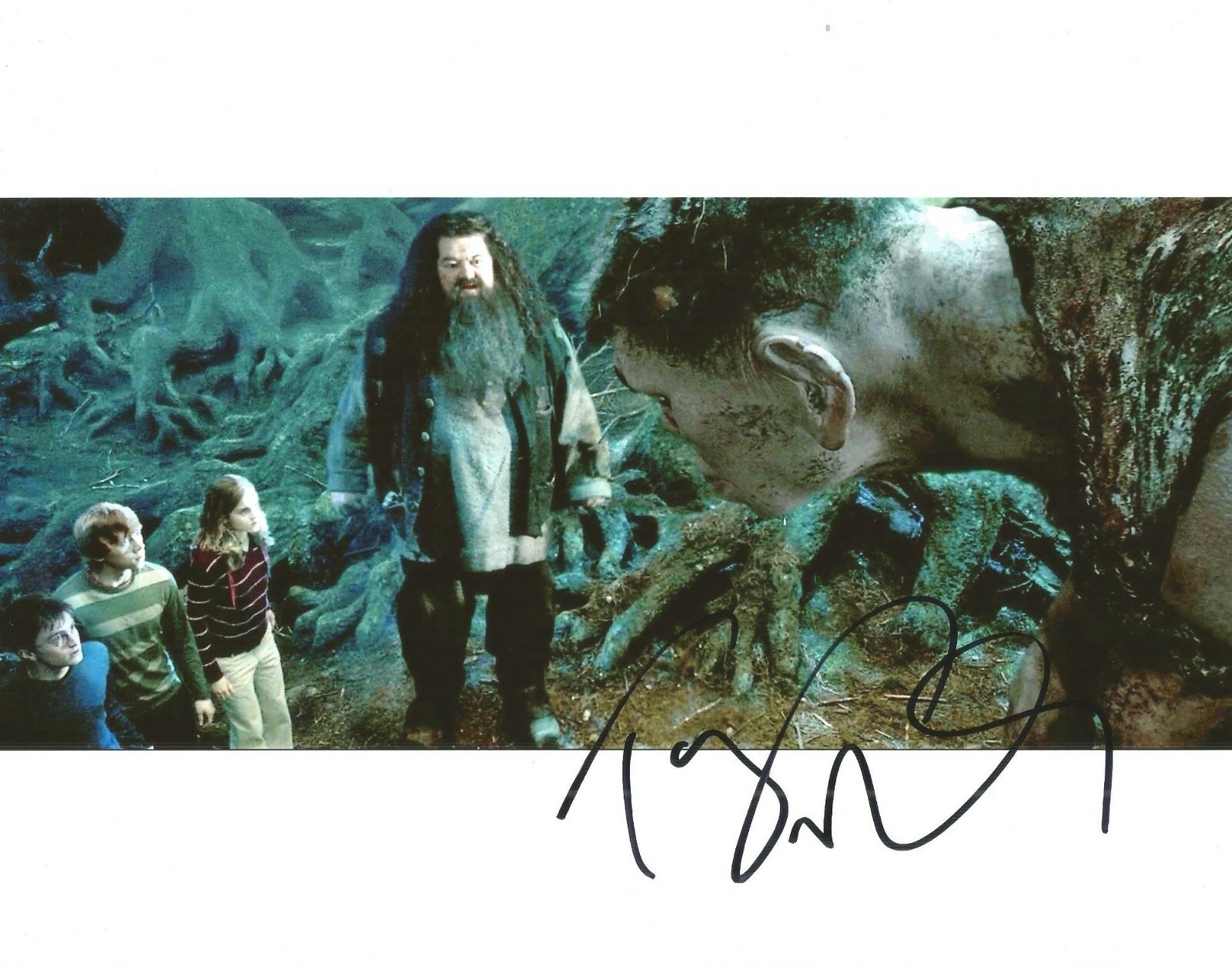 HARRY POTTER: TONY MAUDSLEY 'GRAWP' SIGNED 10x8 ACTION PHOTO+COA | eBay