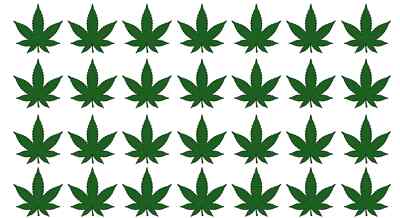 Lot of 28 small marijuana, ganja, pot, weed, herb decals or stickers ...