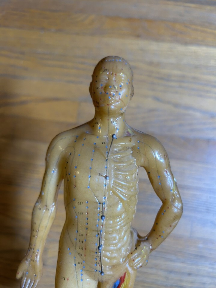 Vintage Acupuncture Doll Shows Human Body Pressure Points and Meridians ...