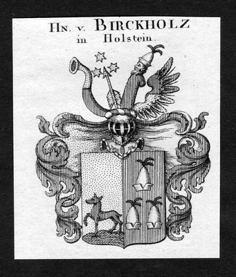 1820 - Birckholz Holstein Wappen Adel coat of arms heraldry Heraldik ...