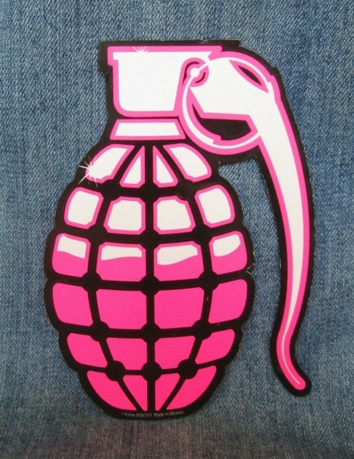 Pink Grenade 3.5" x 5" Thin Magnet Souvenir Refrigerator Travel | eBay