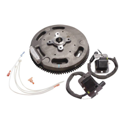 Kohler 24 755 308-S ASAM/MDI Conversion Kit (25HP) | eBay