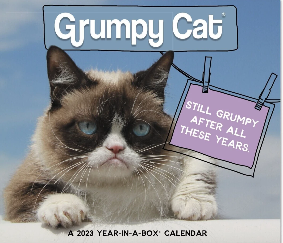Grumpy Cat Monday Quotes