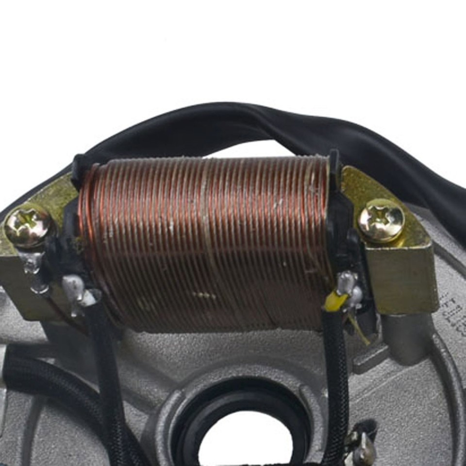 Wire 2 Coil Magneto Stator Plate Rotor 50cc 90cc 110cc 125cc Dirt Pit ...